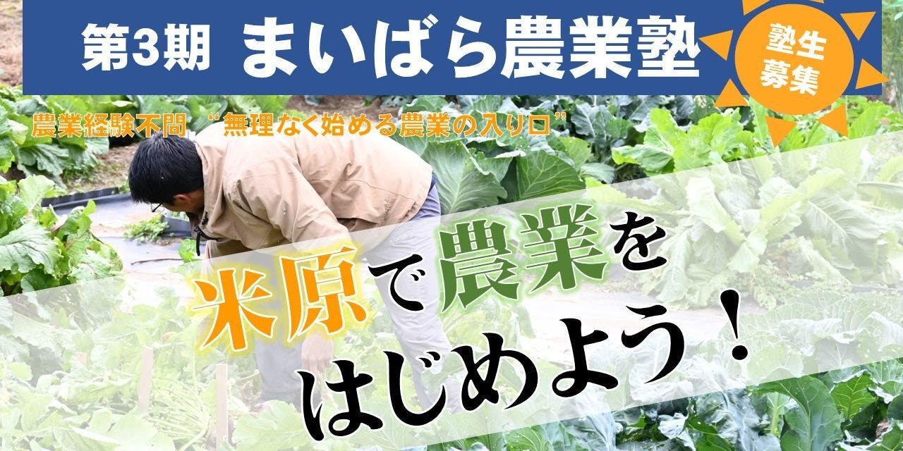 滋賀県米原市で農業を始めませんか？(滋賀県米原市) | 地域とつながるプラットフォーム スマウト (SMOUT)