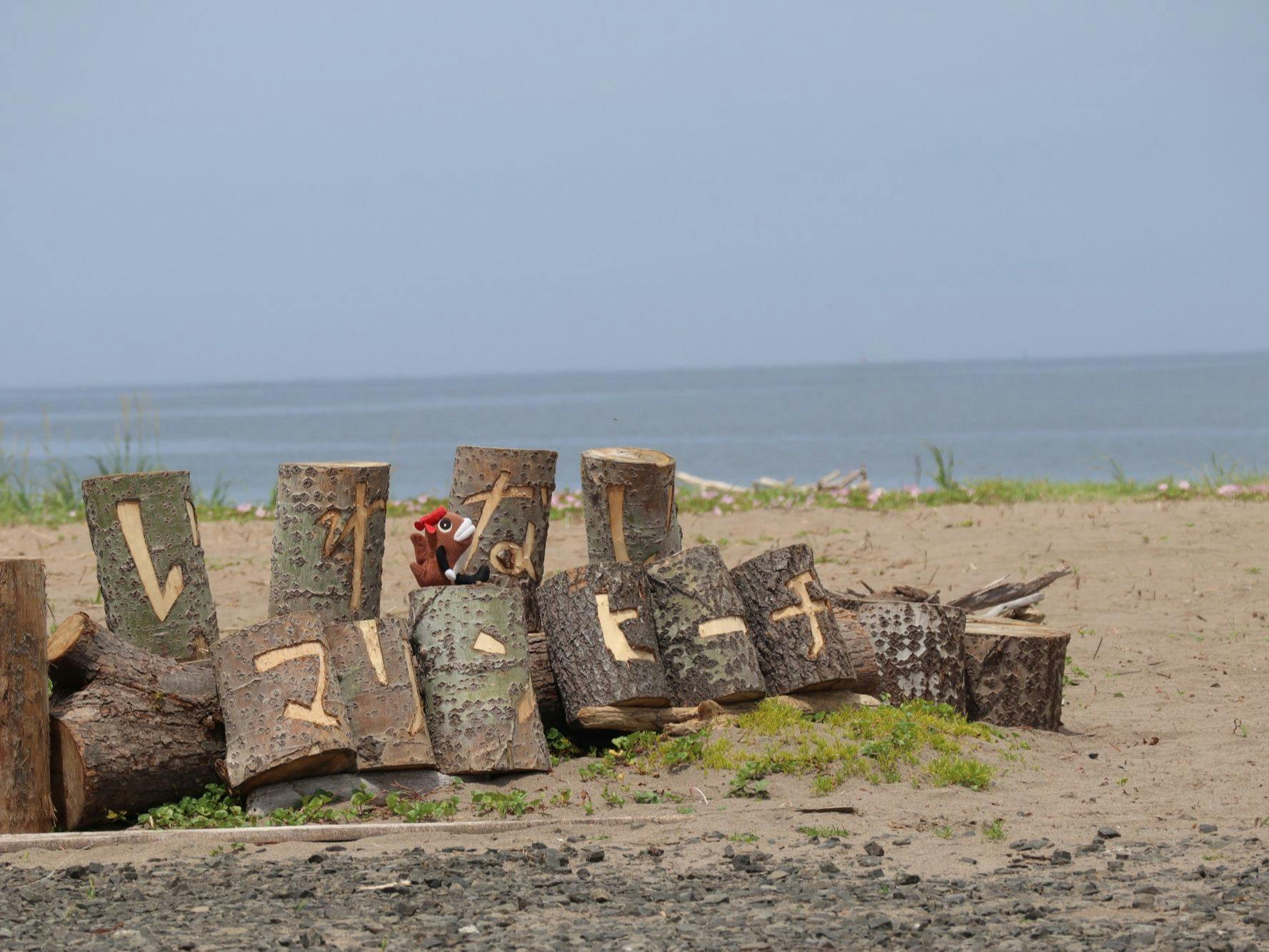 好きな場所で、好きな人と。 岩内町で “おためし地域おこし協力隊” 、はじめませんか？(北海道岩内町) | 地域とつながるプラットフォーム ...