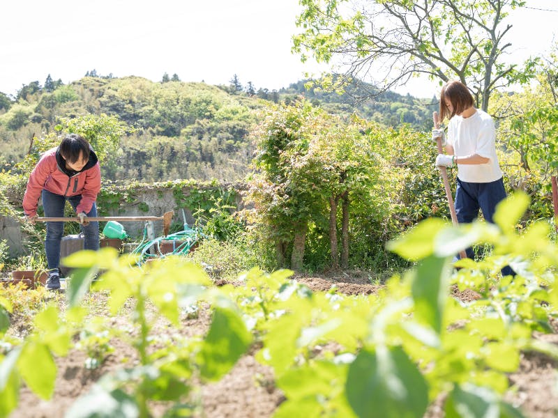 【空き家×農業】空き家を活用した地消地産の農業に取り組みませんか？【R6大人の島留学募集】(島根県海士町) | 地域とつながるプラットフォーム スマウト (SMOUT)